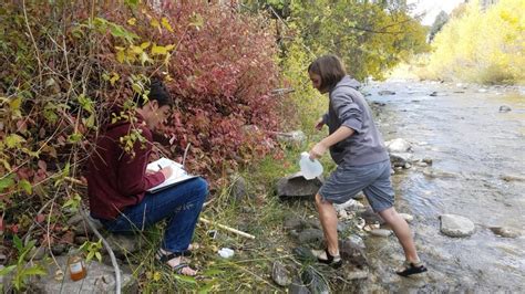 UWP River Science