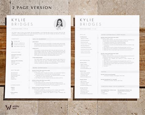 Combination Resume Template Format Combination Cv Template Resume With