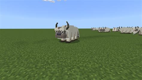 Appa Sniffers By Jaycubtruth