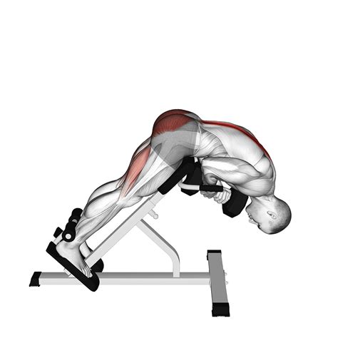 Dumbbell Lower Back Exercises