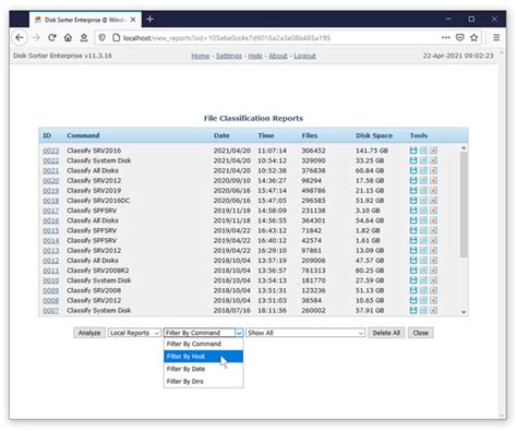 Disksorter File Classification Disksorter Server File