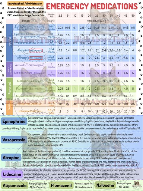 Printable Veterinary Emergency Medication And Cpr Guide Etsy