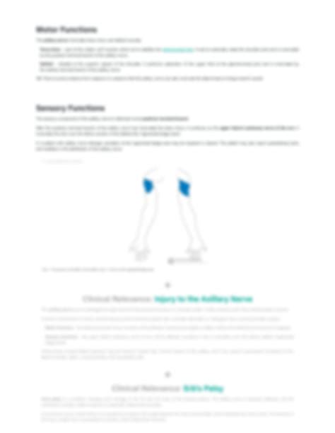 Solution The Axillary Nerve Course Motor Sensory Teachmeanatomy
