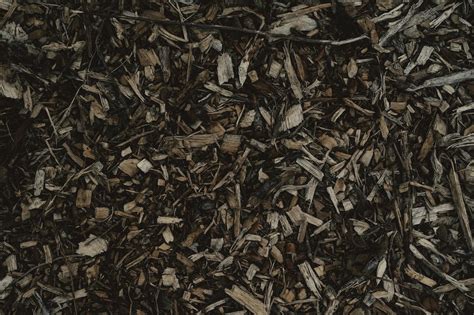 7 Troubleshooting Common Winter Composting Problems That Ensure Spring Success Farmstandapp