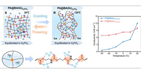 Construct Flexible Durable Supercapacitors Via Antifreezing Polyampholyte Hydrogels Acs