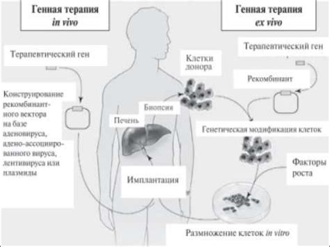 Сучасні проблеми молекулярної біології Генна терапія Лекція 8 презентация онлайн