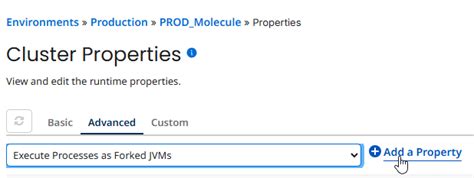 Boomi Molecule Considerations For Enabling Forked Executions Part 2