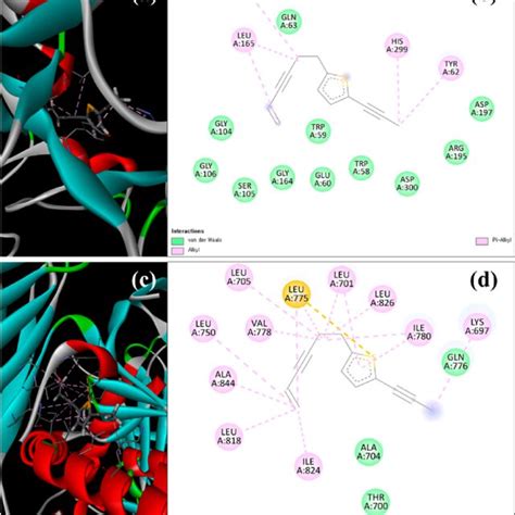 The Structural Overlay And 3d Ac And 2d Bd Docking Simulation Of