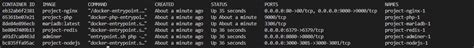 nodejs container unreachable the connection was reset general