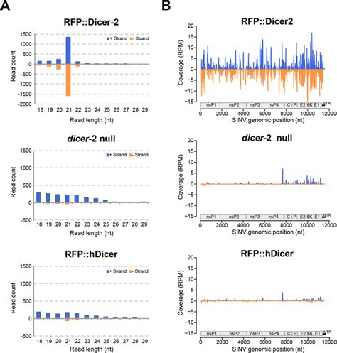 Small Rna Deep Sequencing Analysis Of Viral Reads From Transgenic Download Scientific Diagram