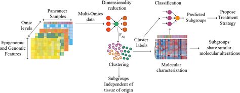 Subgroup Identification In Pancancer Seema R K