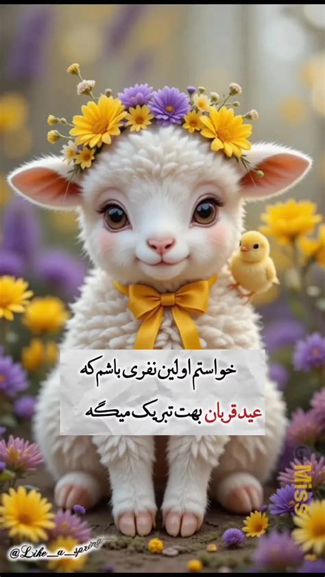 کلیپ شاد تبریک پیشاپیش عید قربان ۱۴۰۴