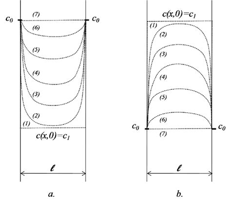Spatial Distribution Of The Concentrations Of Active Substance At