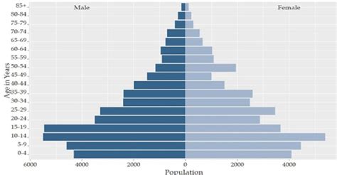 Population Pyramid Of Birhan Hdss By Age And Sex January December