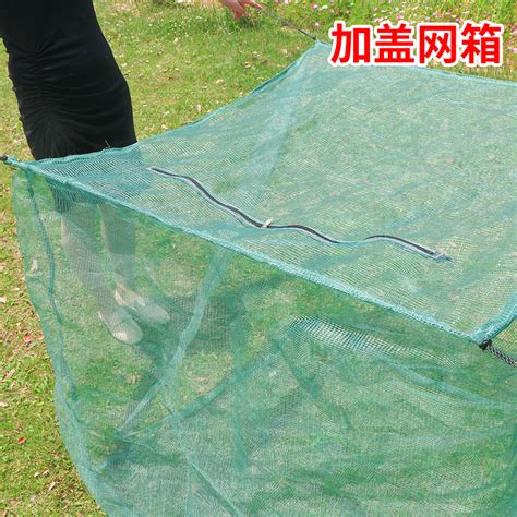 定做养殖网箱专用带盖泥鳅黄鳝青蛙龙虾养鱼网箱大鱼网箱防逃网箱虎窝淘 定做养殖网箱专用带盖泥鳅黄鳝青蛙龙虾养鱼网箱大鱼网箱防逃网箱虎窝淘