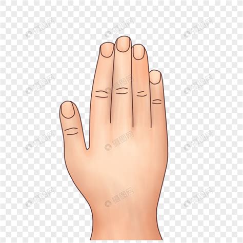 手元素素材下载 正版素材401174384 摄图网