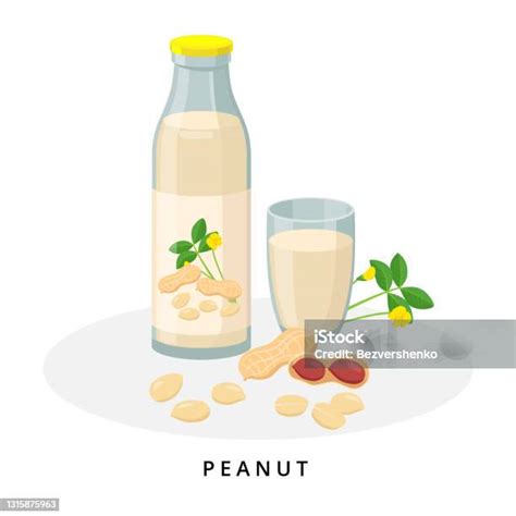 땅콩 우유를 병과 유리에 넣었습니다 식물 우유 비건 우유 개념 흰색 배경에서 격리된 벡터 그림입니다 대체 우유와 재료 개념에 대한 스톡 벡터 아트 및 기타 이미지 Istock