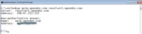 How To Extract Your Outside IP Address What S My IP IP Chicken IP Monkey Interface
