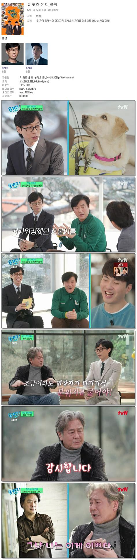 유 퀴즈 온 더 블럭 E231 240214 1080p Wanna 파일쿠키 등록정보