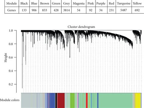 The Hierarchical Clustering Tree Of Wgcna The Module That Was Relevant