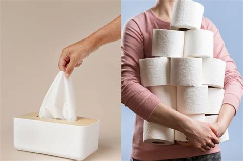 Jumlahnya Ada 10 Ini Dia Jenis Tisu Sekaligus Perbedaan Fungsinya