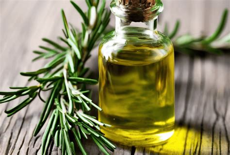 16 Benefits Of Rosemary Oil For Hair And How To Use It