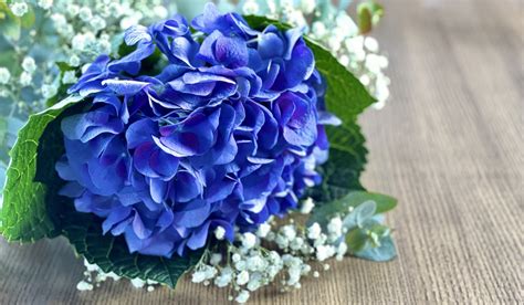 7 Most Expensive Wedding Flowers My White Sand Wedding
