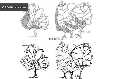Freehand Sketch Of Tree Elevation Free CAD Blocks Download Tree Sketches Sketches Cad Blocks