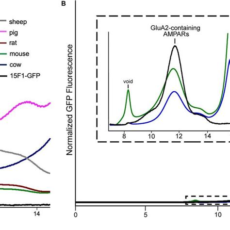 Immunoaffinity Purification Workflow The Outline Of The Immunoaffinity Download Scientific