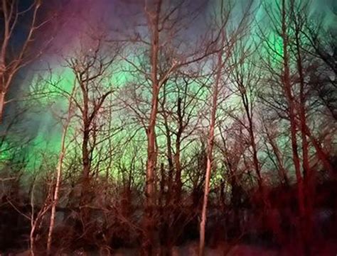 Aurora Borealis Puts On A Stunning Display In Manitoba Encore Expected