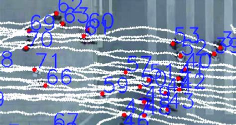 Sample Extracted Trajectories Download Scientific Diagram