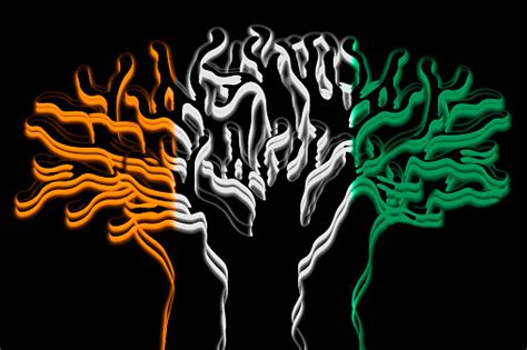 코트디부아르 바오밥 나무의 실루엣 아이보리 국기의 색상 주황색 흰색 및 녹색 색상 격리 검은색 배경 삽화 0명에 대한 스톡 벡터 아트 및 기타 이미지 Istock