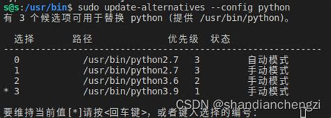 经验Ubuntu18 04切换Python版本及环境及VScode pdb调试方法全 shandianchengzi 博客园