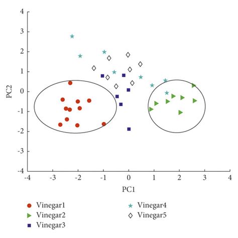 Schematic Diagram Of Principal Component Analysis Of Component