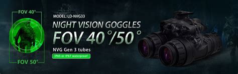 Pvs31 Lindunv