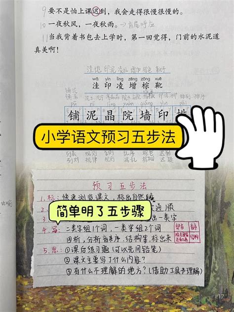 如何预习你真的学会了吗?预习五步法📒 知乎 如何预习你真的学会了吗?预习五步法📒 知乎
