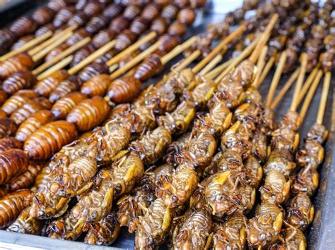 From Dinner Parties To Restaurants Cicadas Are Landing In The Kitchen