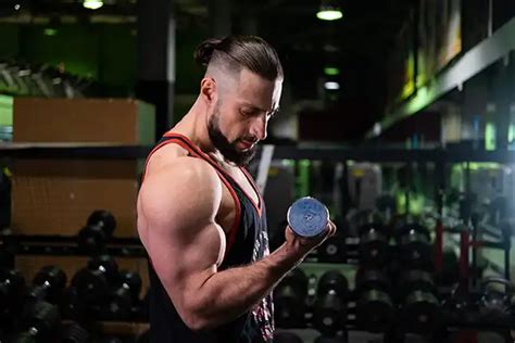 Discover The Average Bicep Size Growth For Males In 2024