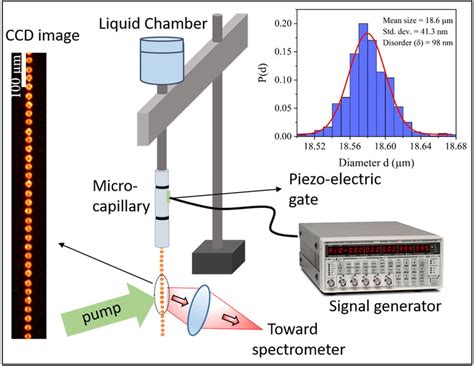 Schematic Of The Experiment Showing The Illumination And Collection