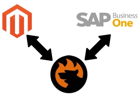 Magento 2 Sap Business One Integration Firebear