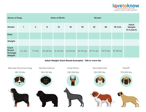 Free Weight Chart Templates Customize Download And Print Pdf