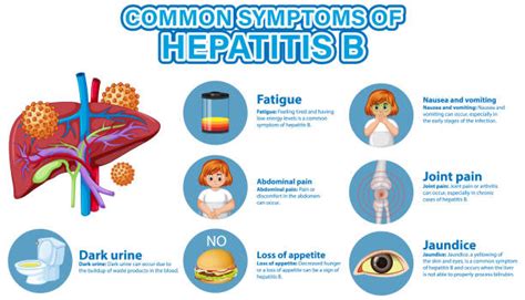 320 Hepatitis B Cartoon Stock Illustrations Royalty Free Vector