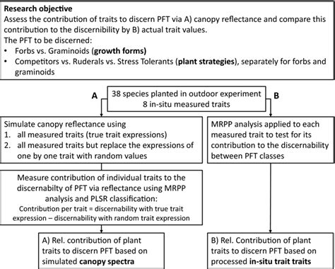 Simplified Workflow Of This Study Download Scientific Diagram