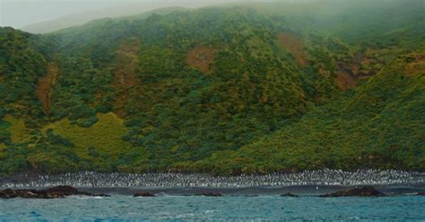 Scientists Visualize Two Entangled Light Particles In Real Time And It Looks Like A Quantum Yin