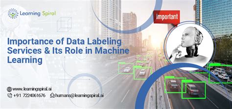 Importance Of Data Labeling Services