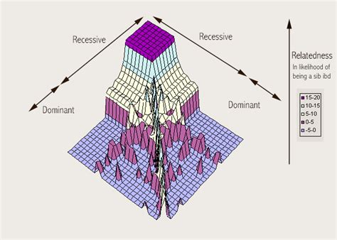 Graph Of Relatedness To Show The Founder Effect Download Scientific