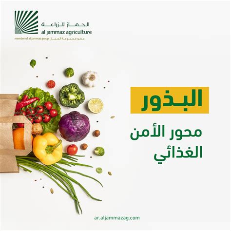 Mosaab Ahmohamed Posted On Linkedin