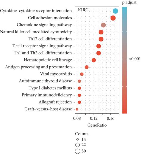 Kegg Results Of C16orf54 In 6 Selected Tumours The 15 Typical