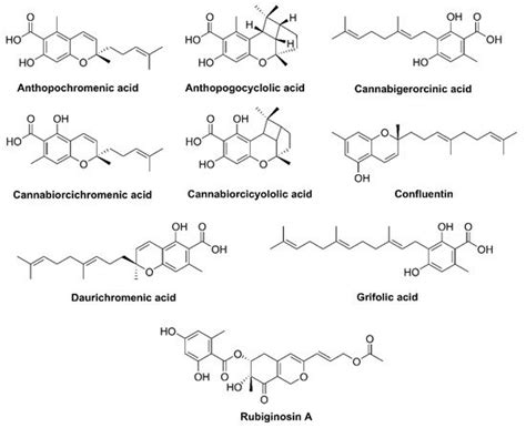 Phytocannabinoids Biosynthesis In Plants Encyclopedia MDPI