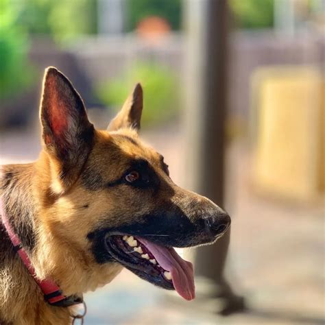 Candy Texture Pack 1 21 4 Candy Texture Pack